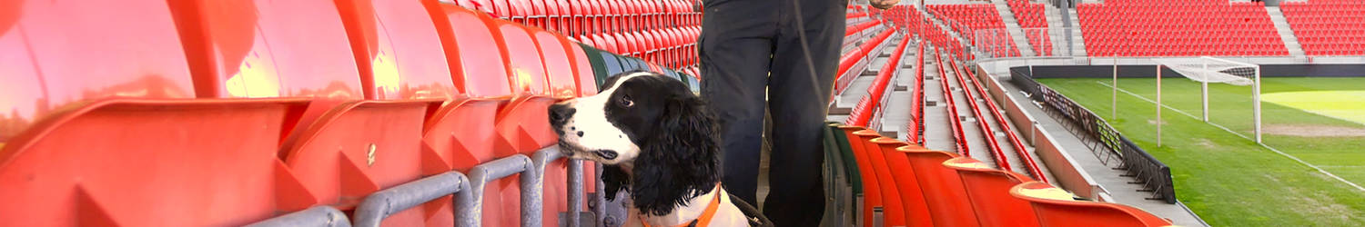 Event Detection Dogs (EDD) - Wagtail UK